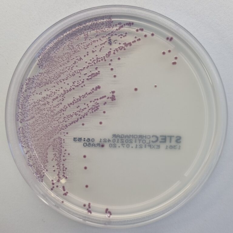 CHROMagar STEC – Zazyro Grup